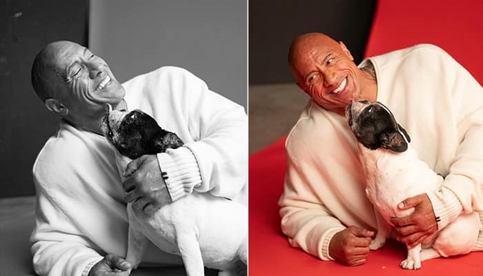 Dwayne Johnson remembers late dog Hobbs; shares a series of pictures ...
