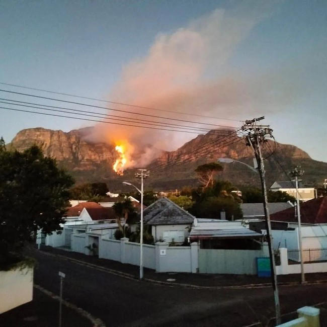 Table Mountain blaze leads to closure of Newlands and Kirstenbosch trails