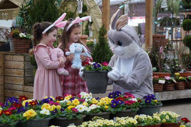 Dobbies garden centre hosting Easter Bunny events in Swindon
