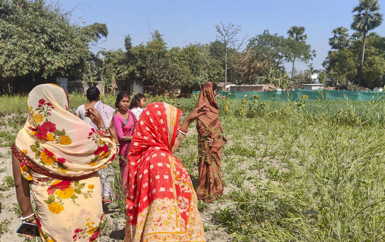 Bihar: SHG Plus model helping rural women build homes, educate children ...