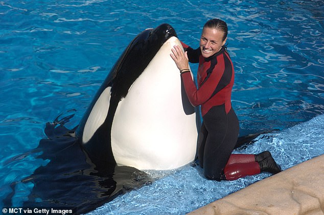 Final moments of SeaWorld trainer before killer whale ripped scalp off
