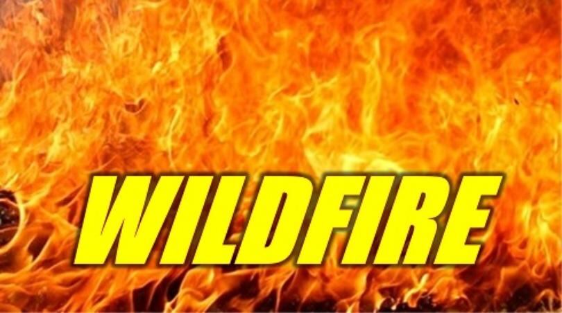 Wildfire in Fort Carson reported as first this year in the area
