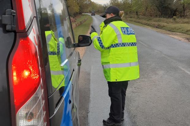 Multiple accidents involving animals reported on New Forest roads