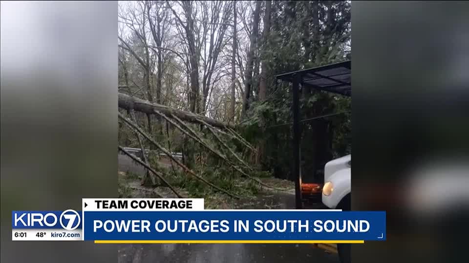 VIDEO: Power Outages in South Sound