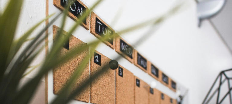 As We Move Forward, Let's Go Back