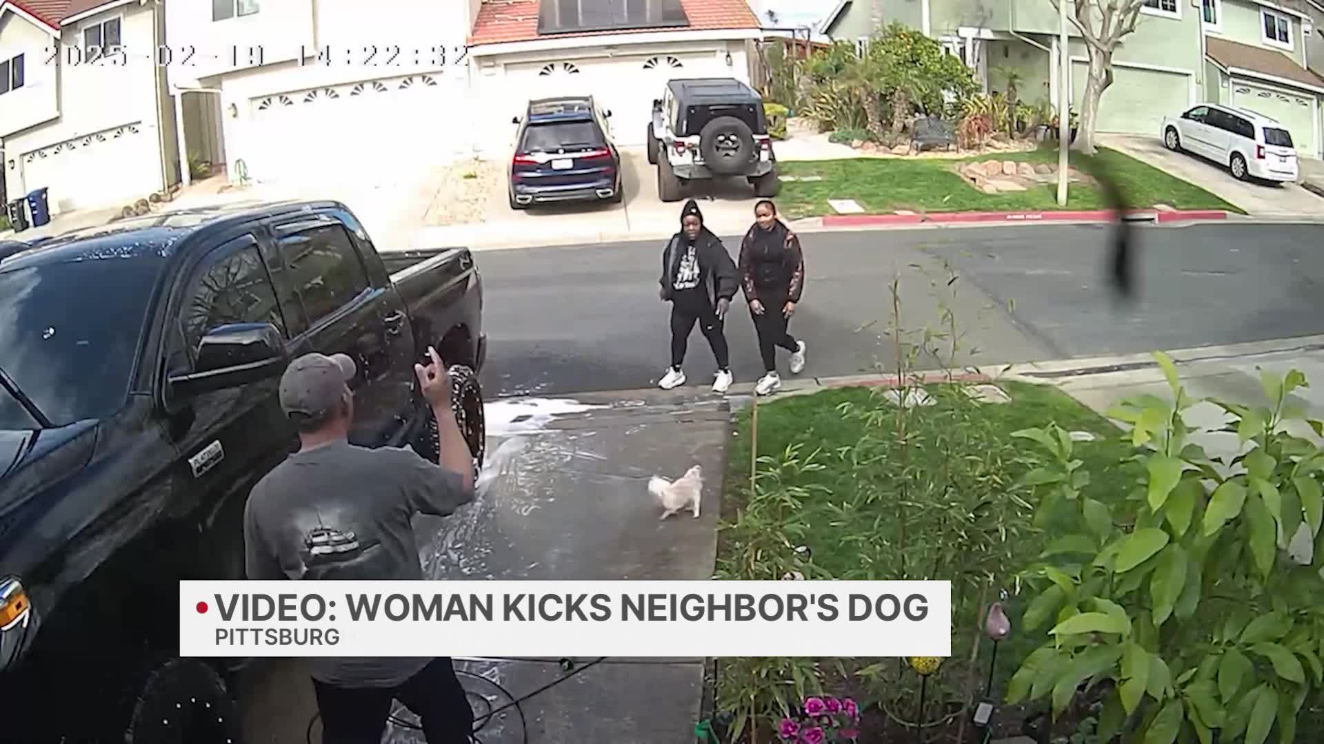 Pittsburg neighbors explain incident that led to woman kicking dog