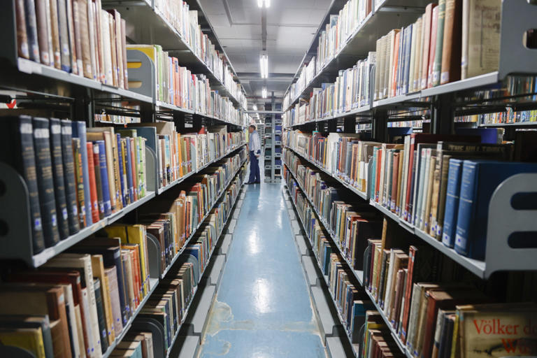 After five-year shutdown, Joburg City Library set for partial reopening ...