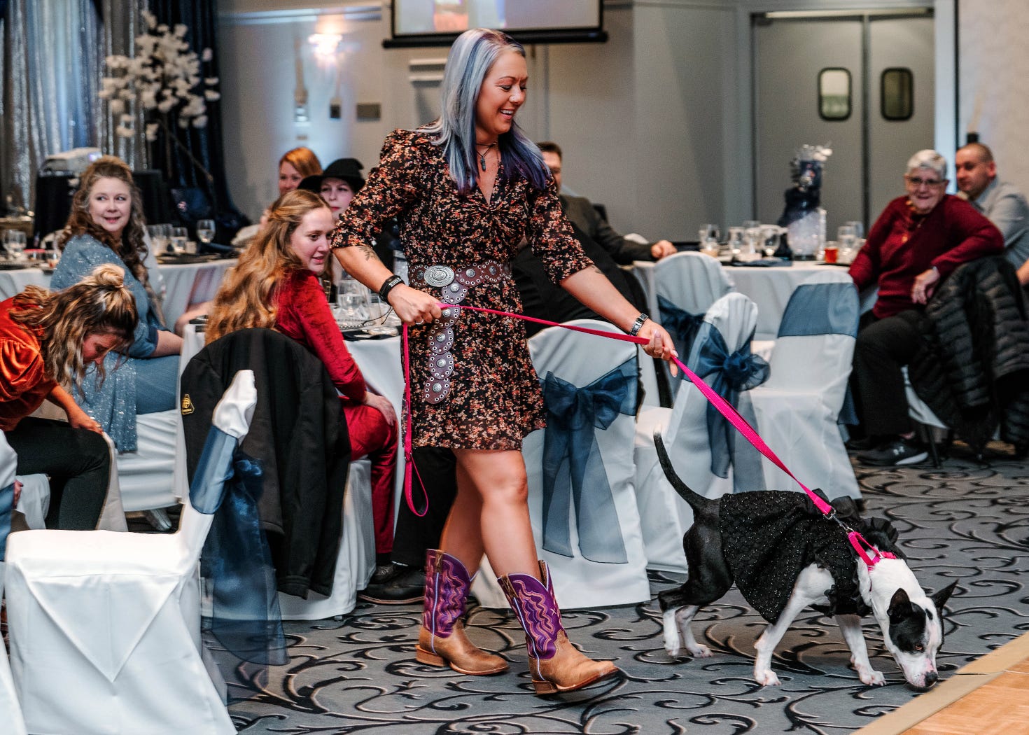 Bow Wow Ball fundraiser provides funds used to care for wayward dogs in ...