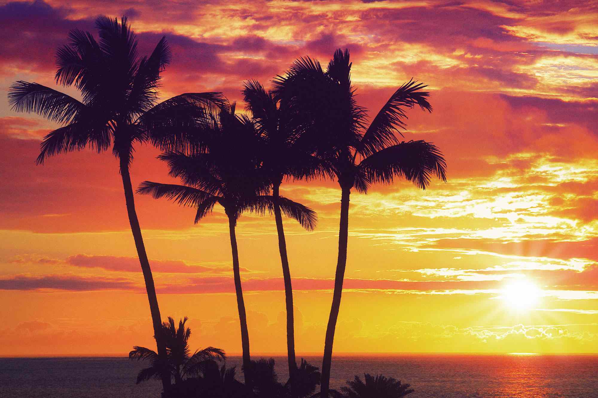 This Is the Most Beautiful Sunset Destination in the U.S., According to ...