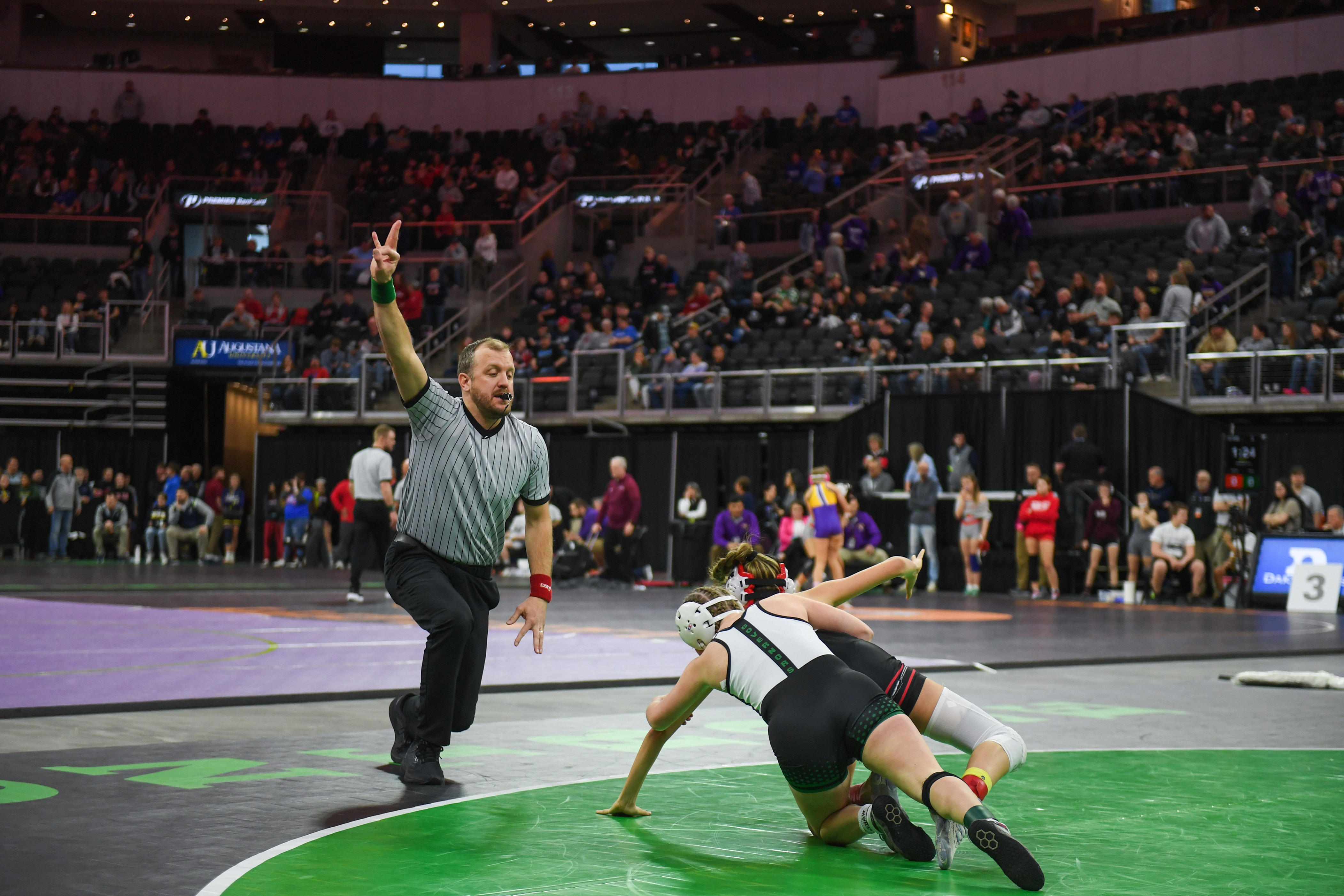South Dakota high school wrestling tournament: Recap, results from ...