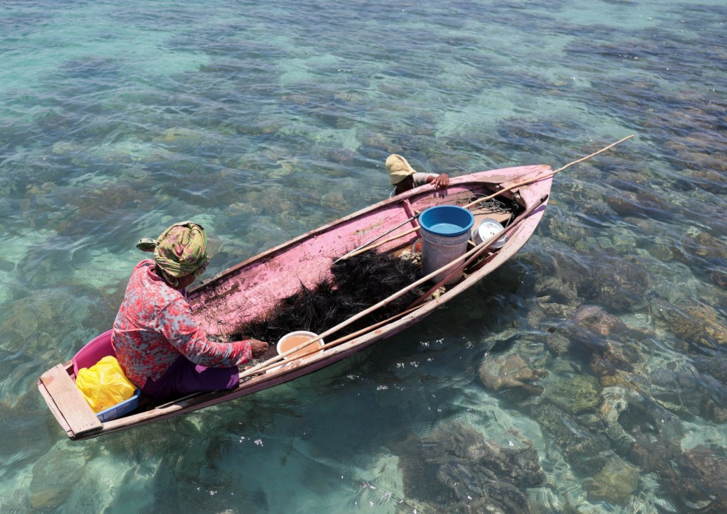 One tribe has evolved to be able to do something other humans can’t