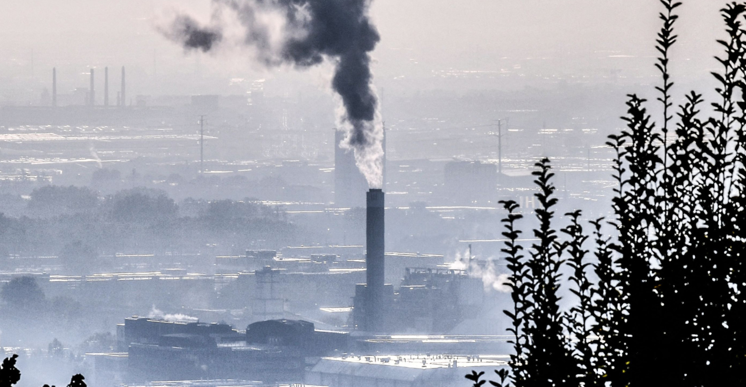 The race to zero carbon emissions