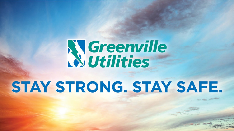 Heat pumps may lean on costly backup heat as Greenville cold snap hits ...