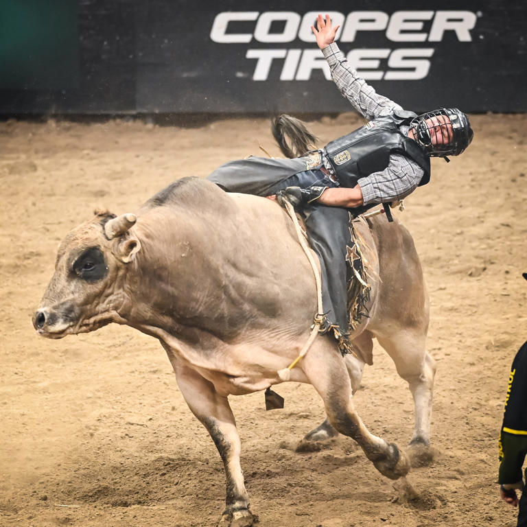 Things to do in Milwaukee this weekend, including seeing PBR bull ...