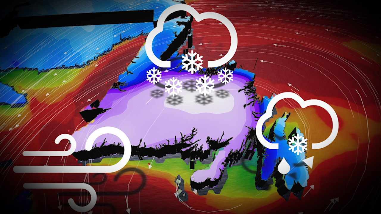 Blinding snow to flooding rains: Newfoundland sees it all on Wednesday
