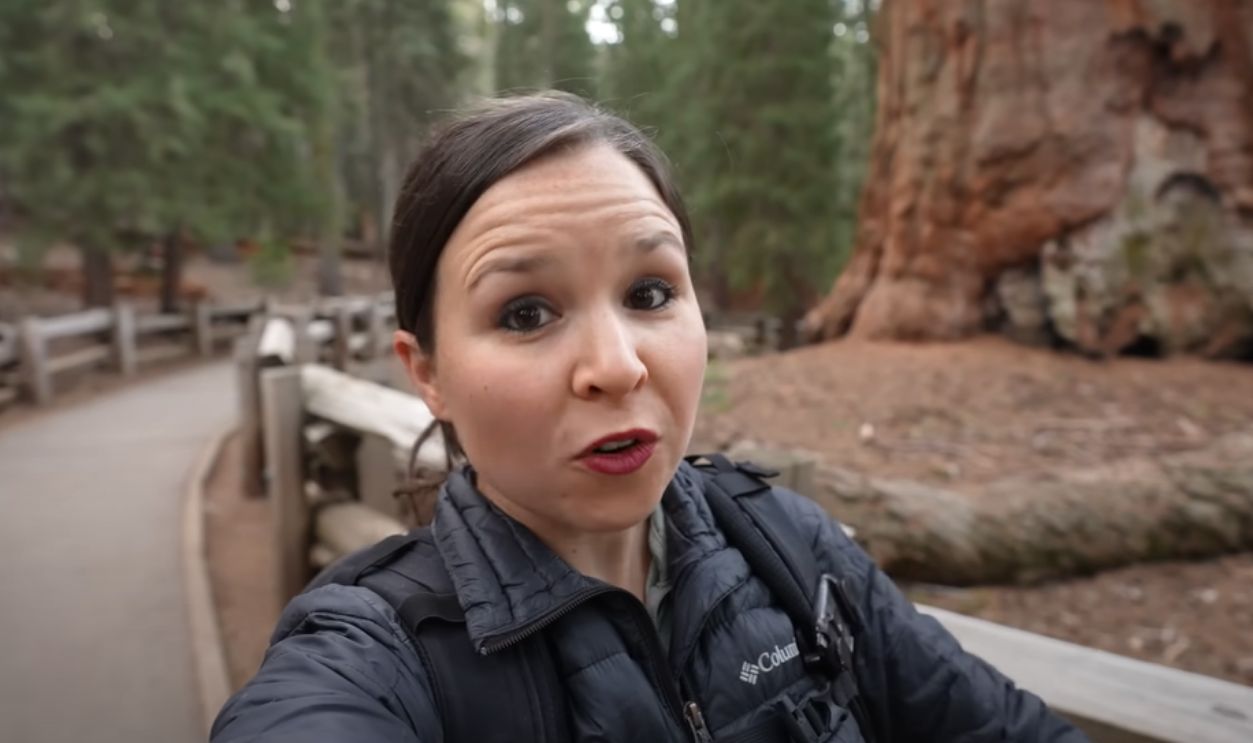 Scientists Find Human Remains Inside World's Largest Tree, Sparking An ...