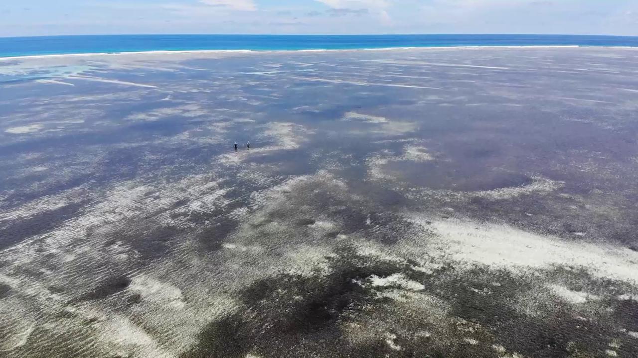 Florida's tidal flats at threat from human activity, claim researchers