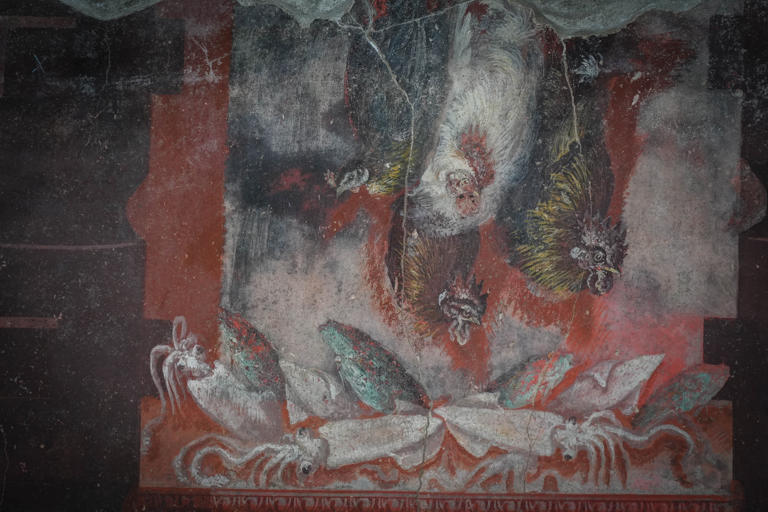 New 'Villa of the Mysteries' uncovered at Pompeii