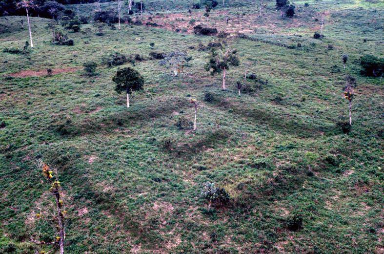 Lost cities hidden for thousands of years discovered under forest