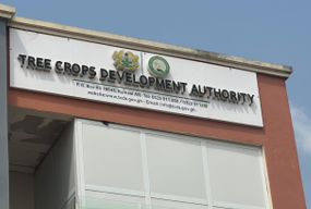 US$220m Tree Crop diversification project to roll out this year