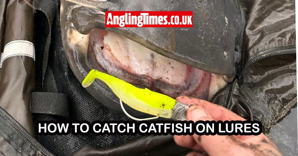 Lure fishing for catfish | Tips and tricks