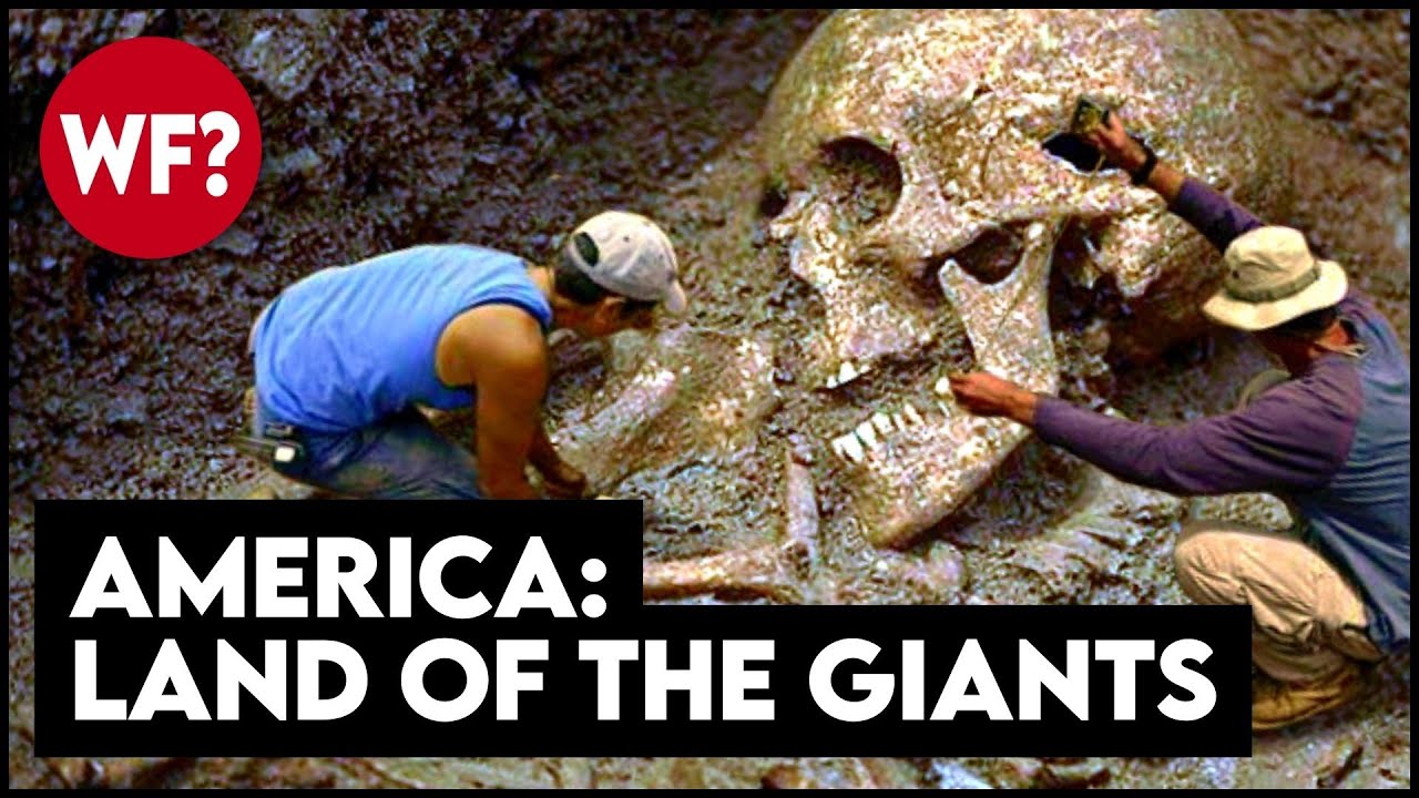 America: Land of the Giants 🇺🇸