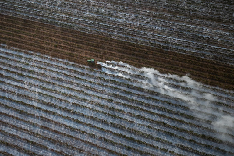 Why your coffee fix has gotten so pricey — and it will only get worse