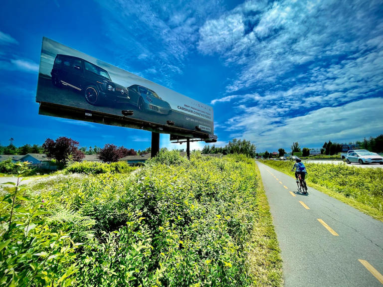 Investors with B.C. Ponzi schemer Greg Martel now facing court clawback ...