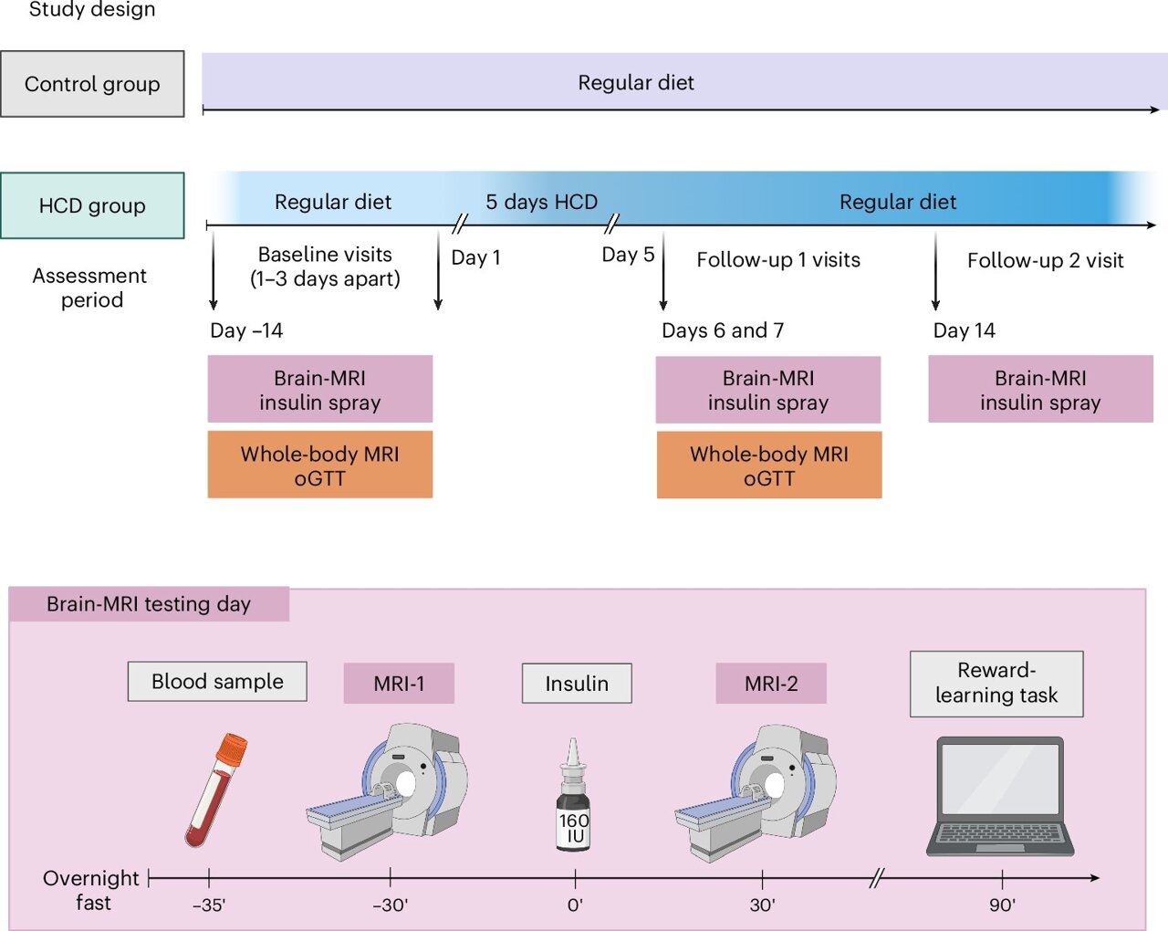 Five days of ultra-processed food: Study finds that's enough to alter ...