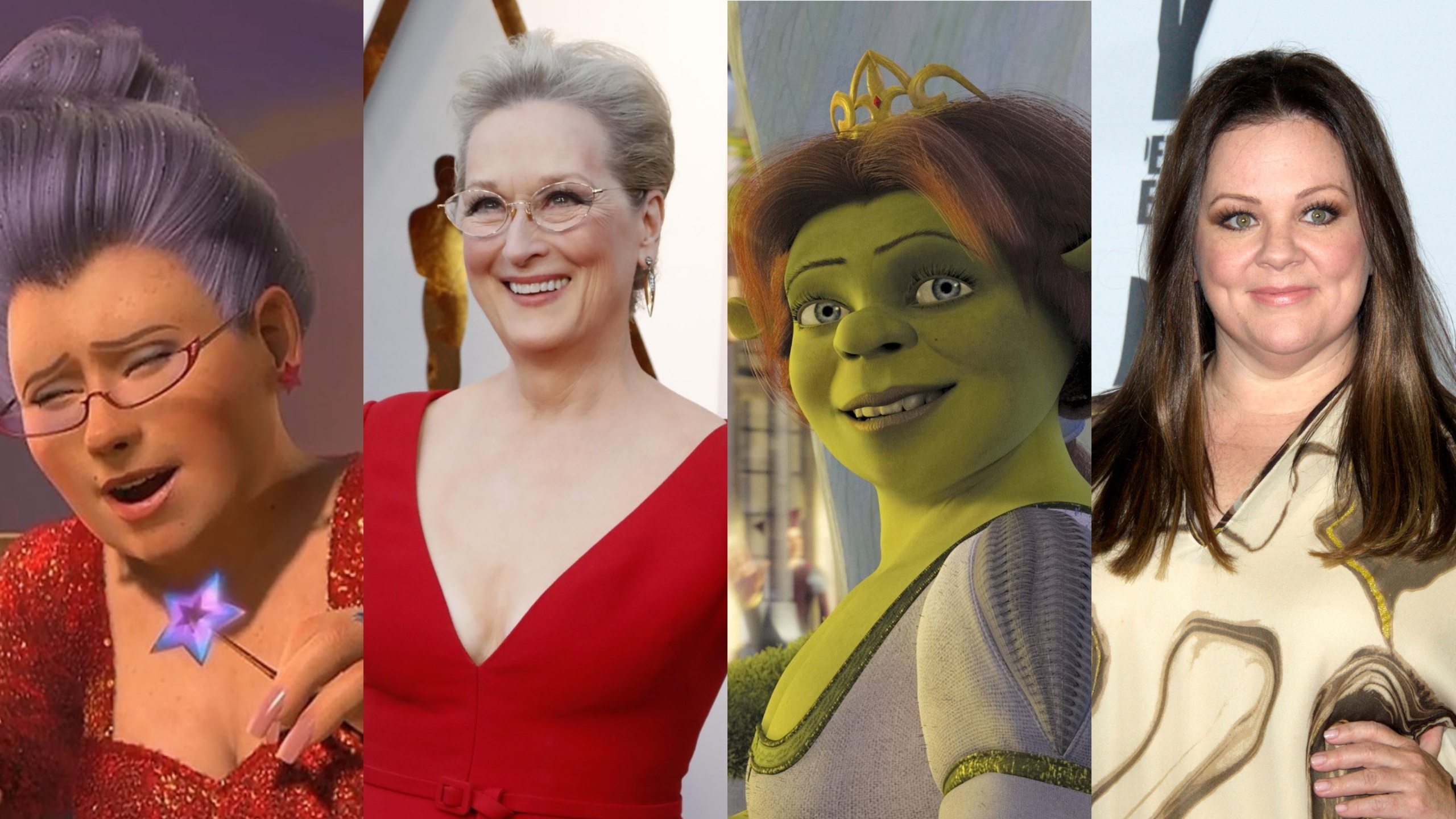 Les acteurs qui seraient parfaits pour le film « Shrek