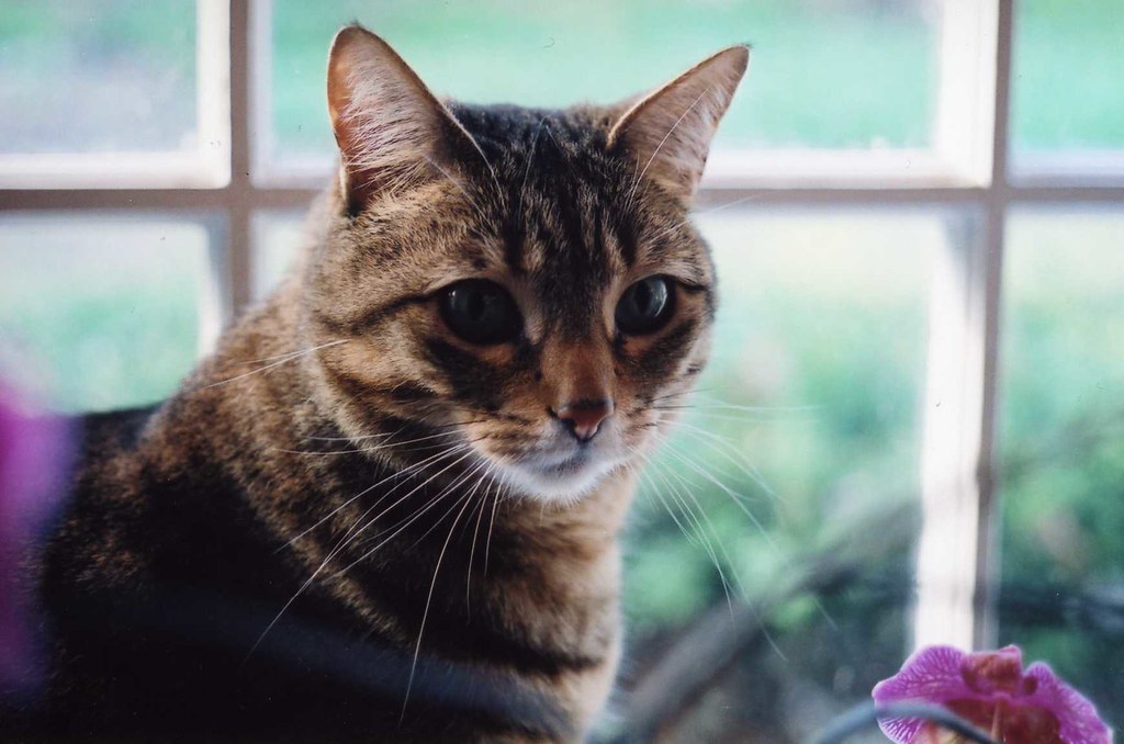 10 Evidence-Backed Ways to Become Smarter