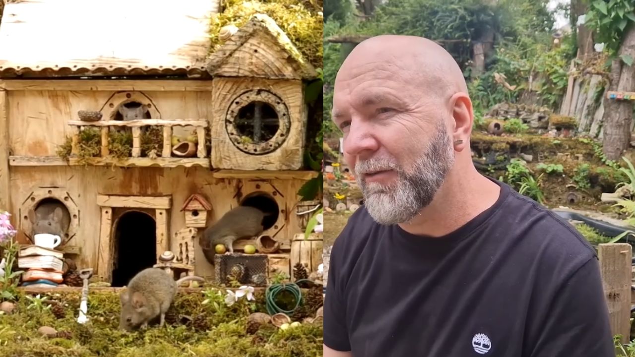 I built an incredible luxury mouse town with train stations, pubs, café ...