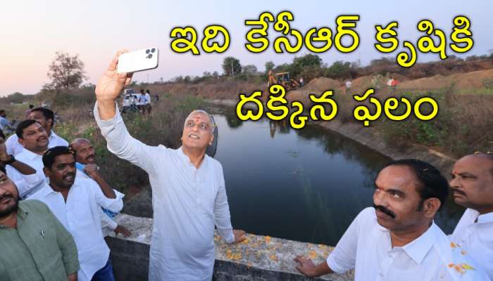 Harish Rao: 'తెలంగాణలో బంగారం లాంటి పంటలకు కారణం ఒకే ఒక్కరు కేసీఆర్‌'