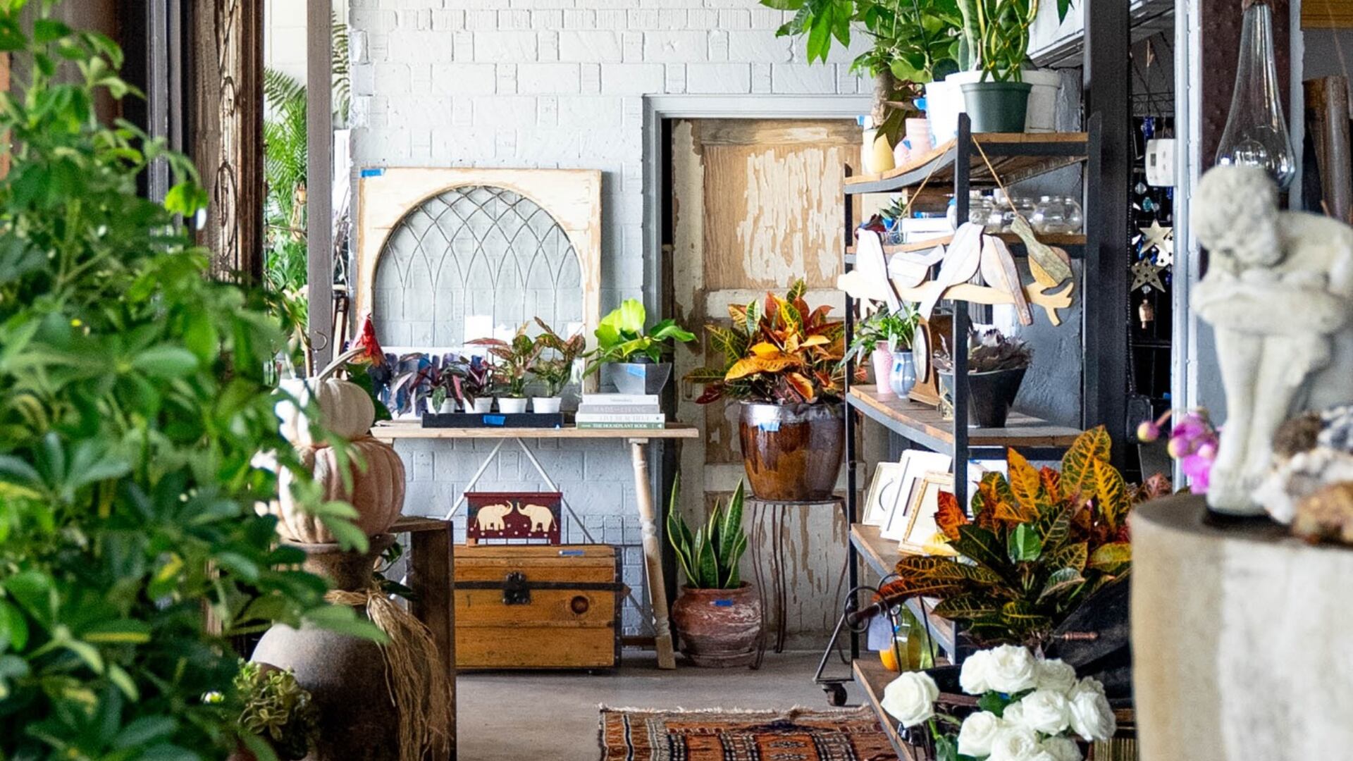 Phoenix lifestyle shop offers wellness services, health products