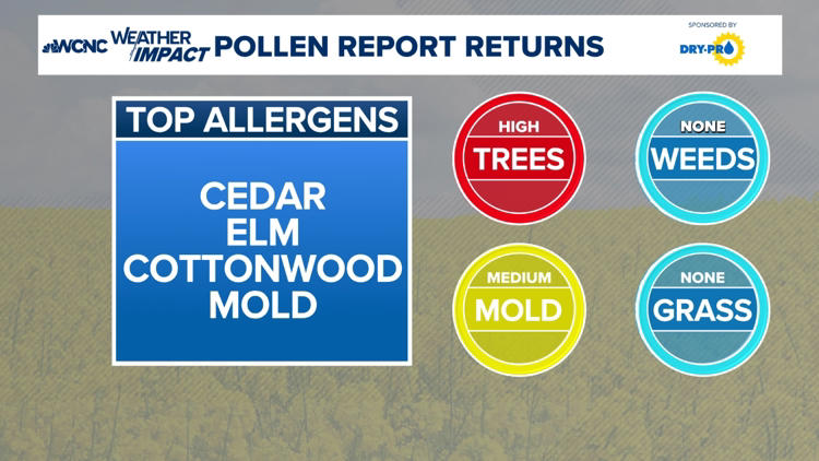 Pollen levels spike to high in North Carolina, starting the 2025 ...