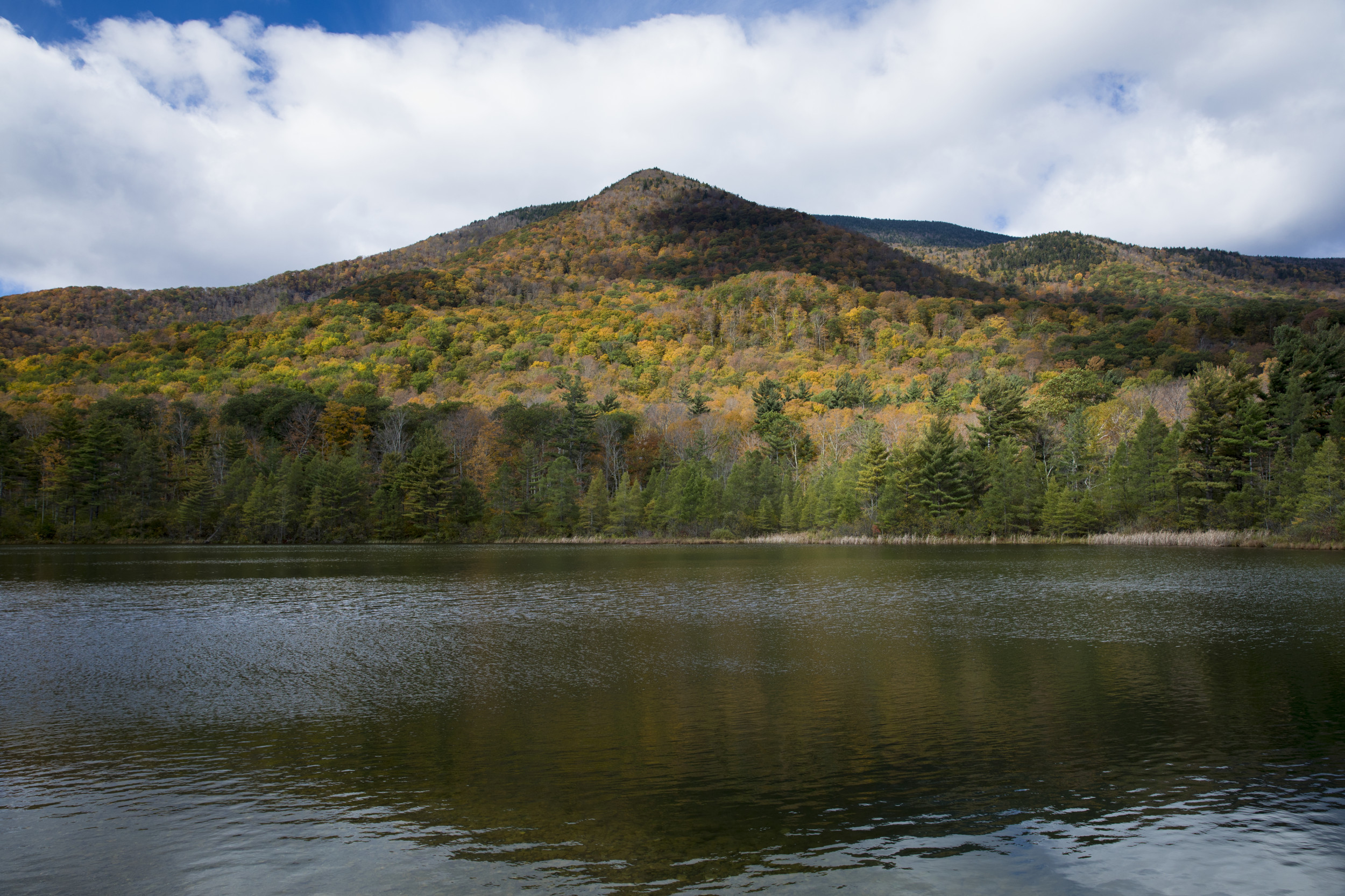 Small Plane Crashes in Vermont: Everything We Know