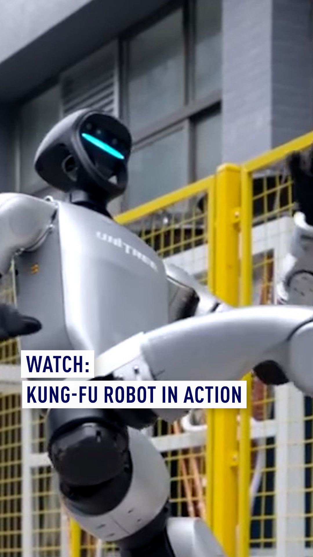 Watch: Kung Fu Robot in Action