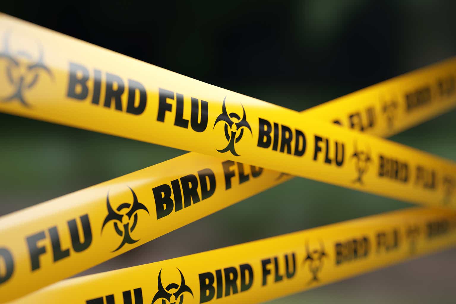 Bird flu emergency response ends as cases decline, CDC says