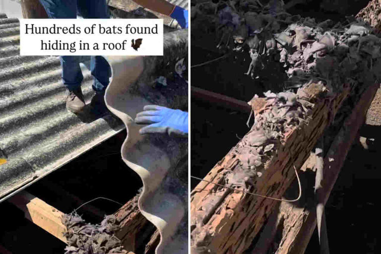 Is Instagram down? Users report issues with Facebook and Messenger, too.