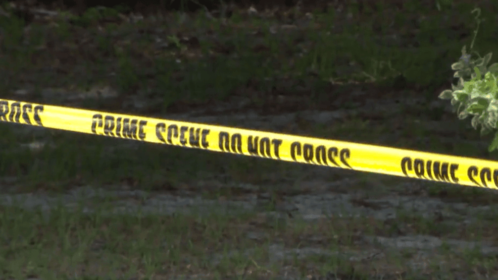 Waynesville man arrested after allegedly firing multiple shots into ... Waynesville man arrested after allegedly firing multiple shots into ...