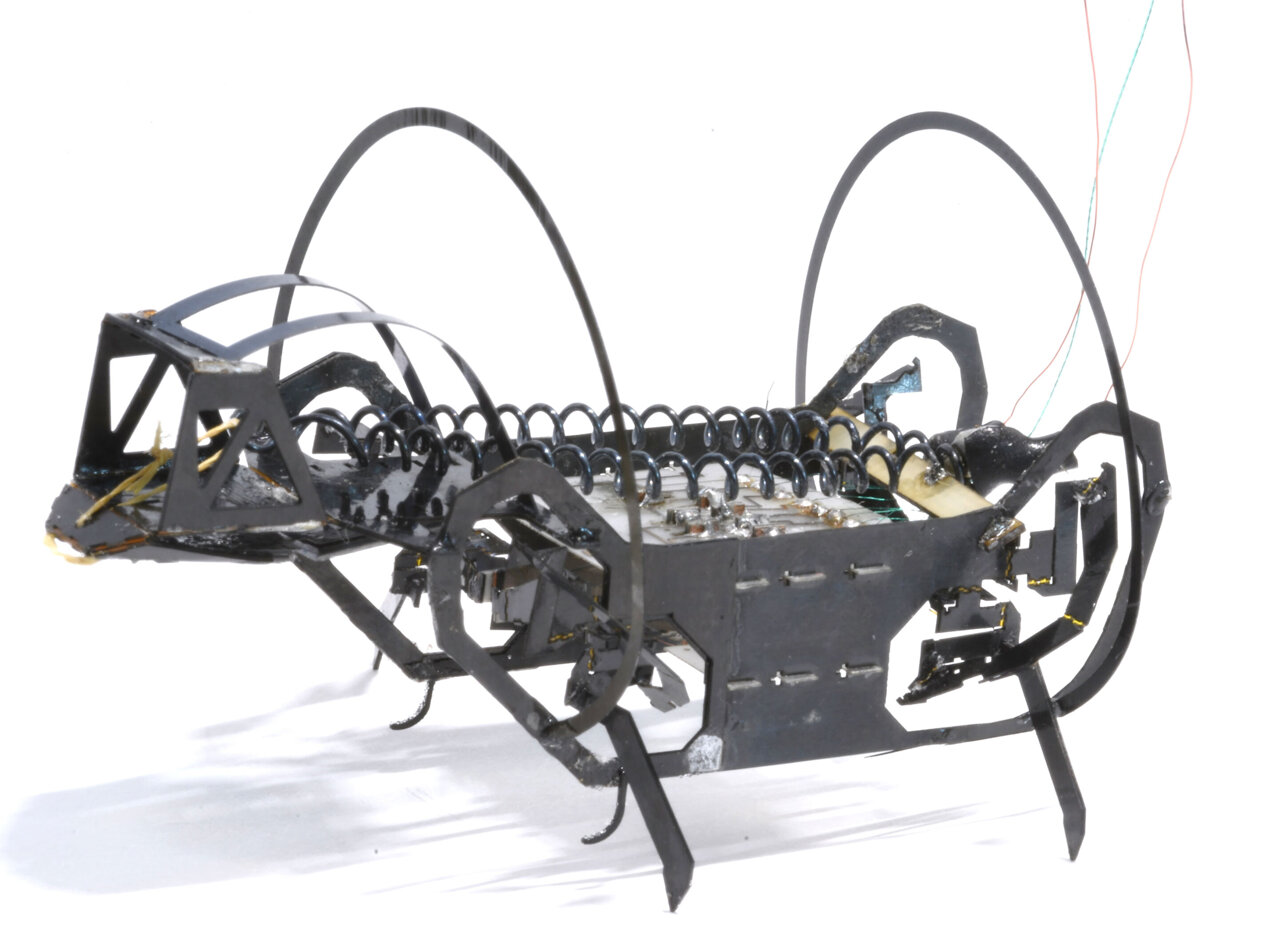 A springtail-like jumping robot: Diminutive device can leap 23 times its body length
