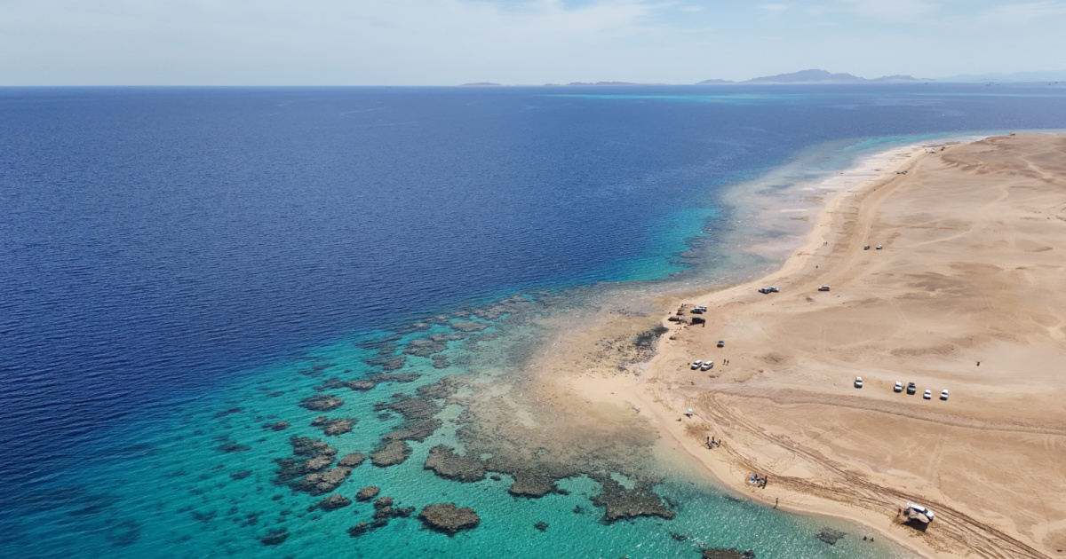 These Red Sea Brine Pools Are One Of The Most Extreme Environments On Earth