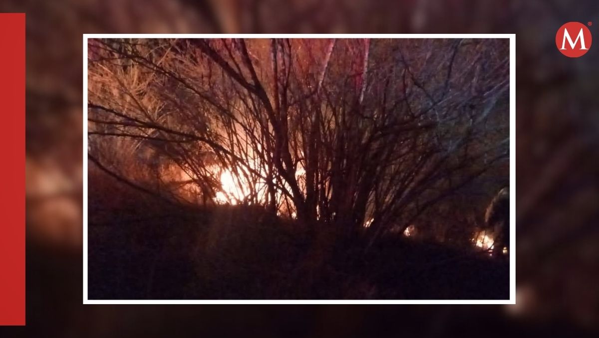 Hombre muere quemado al incendiar parcela para deshacerse de maleza en ...