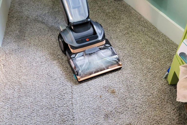 We compared Hoover vs. Bissell carpet cleaners for pet stains—here’s ...