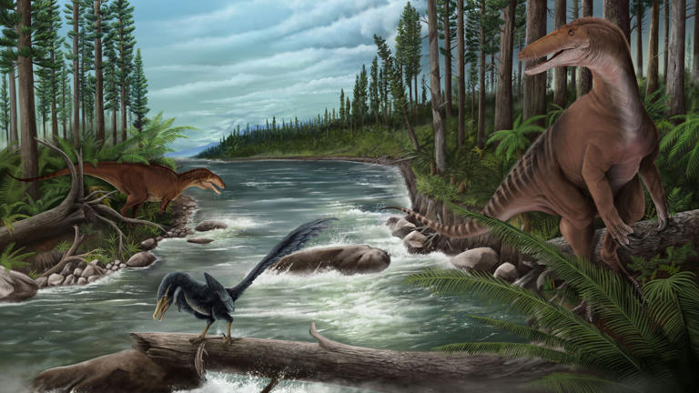 Fossil discovery in Australia reveals 'upside down' dinosaur ecosystem ...