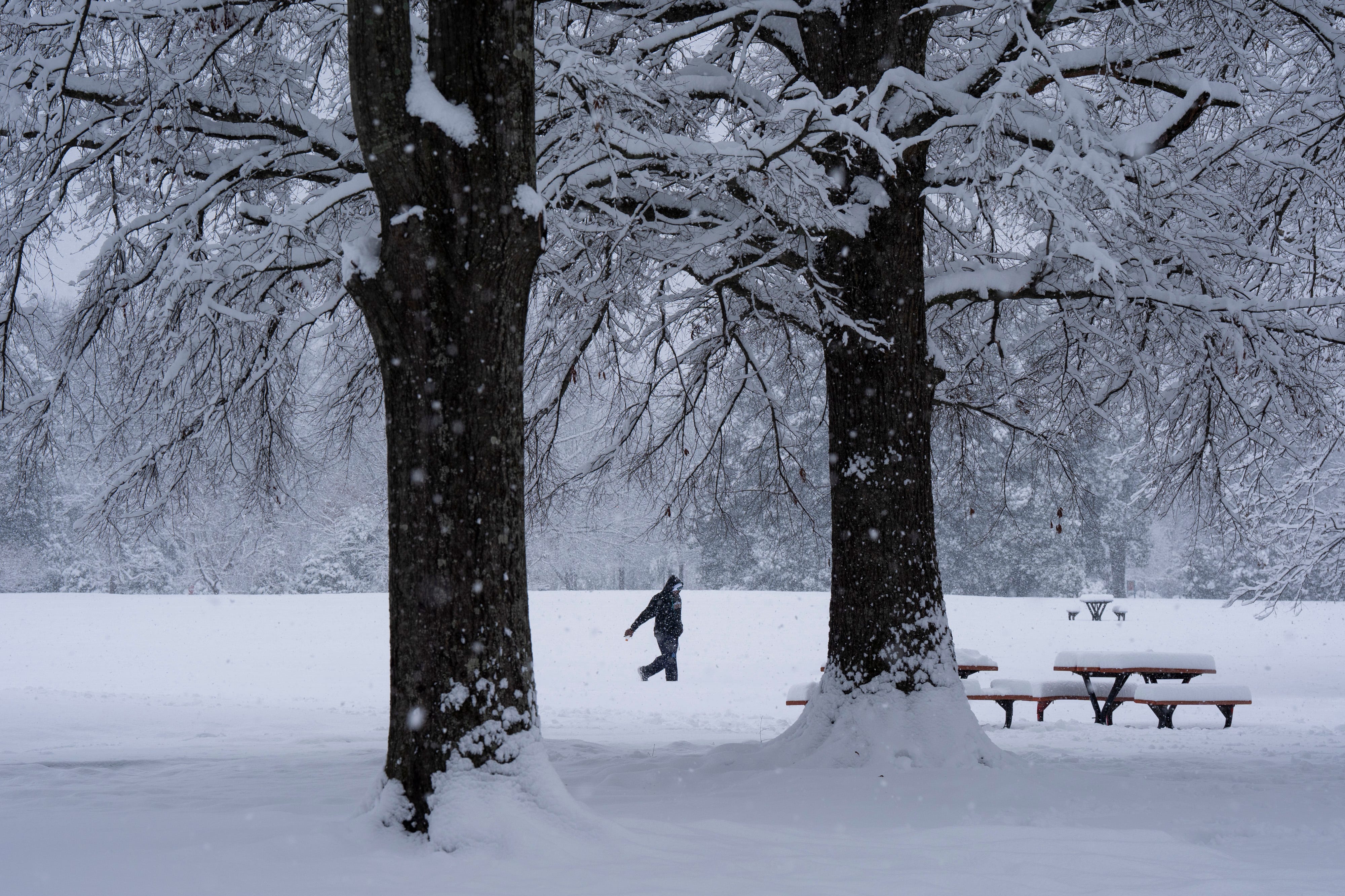 How much snow should Memphis expect? See the weather radar