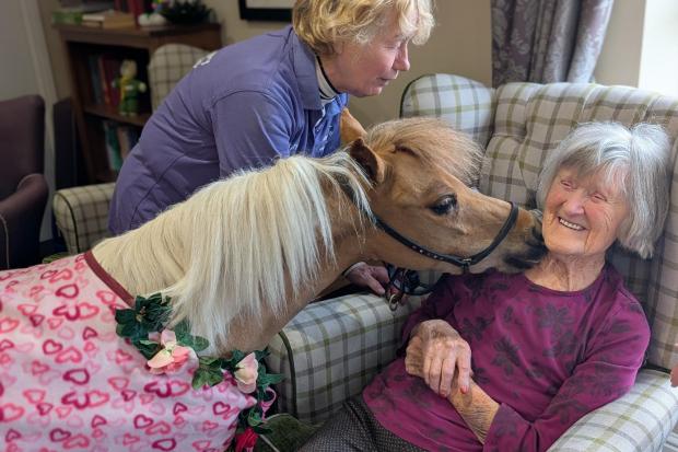 Therapy pony makes hearts soar at North Yorkshire care home