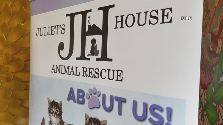 Juliet's House Animal Rescue: giving pets a second chance at love