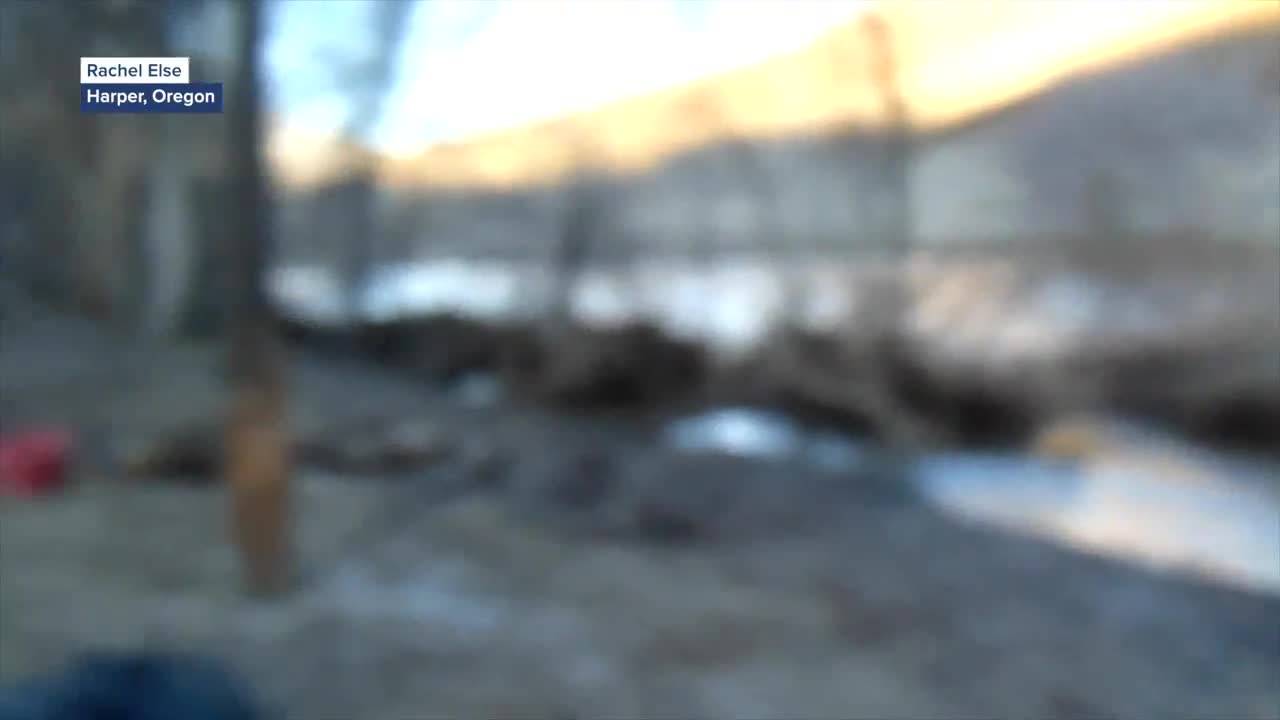 Flood waters from the Malheur River