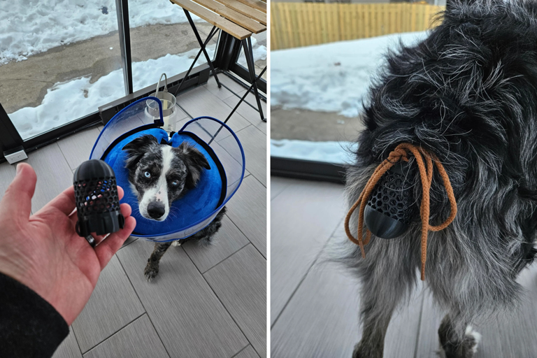 Dog Who Hates Cones Needs Operation–Owner Has a Plan